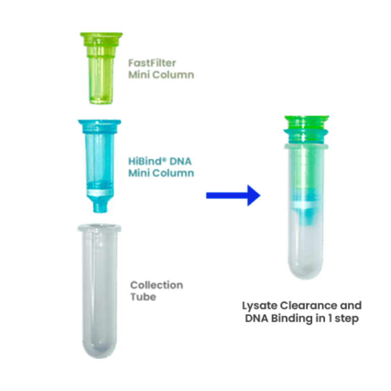E Z N A ® Fastfilter Plasmid Dna Mini Kit Mediscope